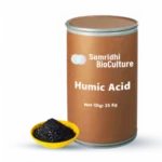 Humic Acid Granule - SamridhiBioculture